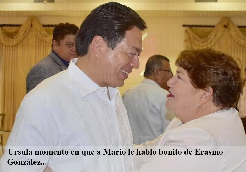 LA ÚLTIMA VOLUNTAD DE URSULA MOJICA OBRADOR A MARIO DELGADO: QUE ERASMO ...